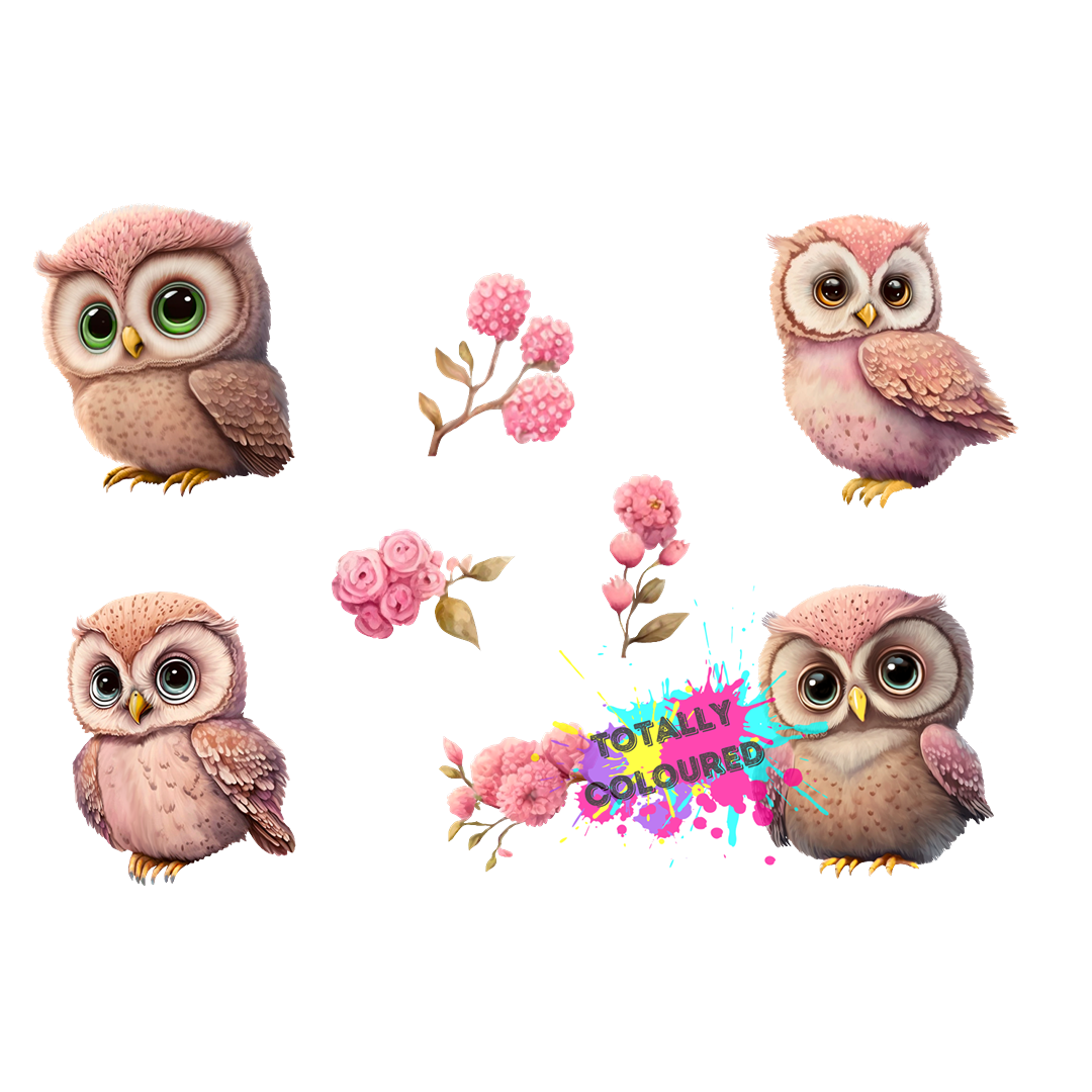 Cute Owls sticky sheet | Totally Coloured