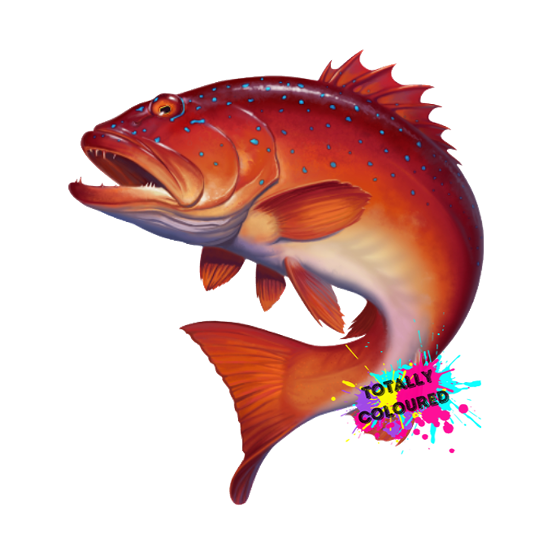 Australian Coral Trout | Totally Coloured