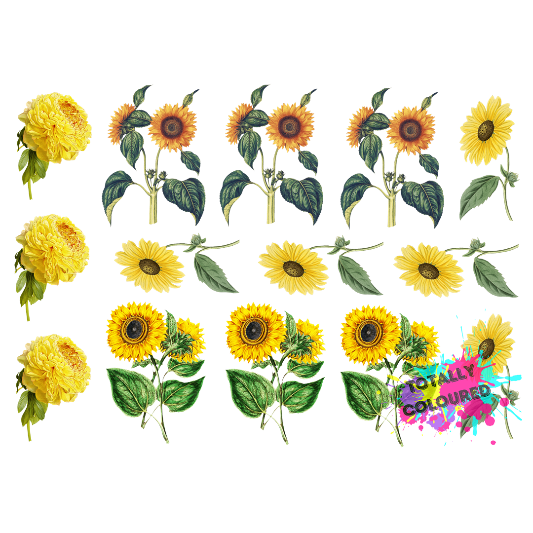 Sunflowers Sticky sheet | Totally Coloured
